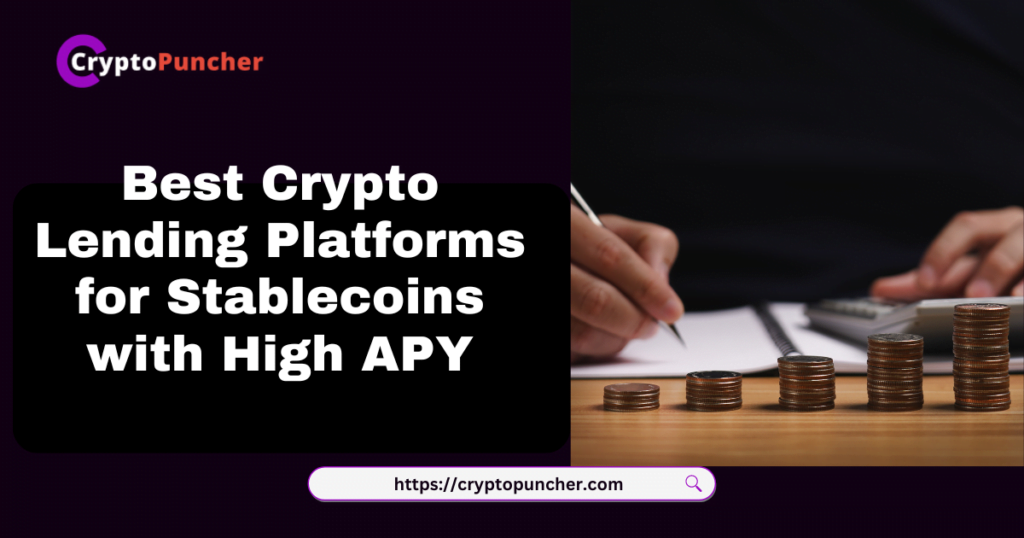 Best Crypto Lending Platforms for Stablecoins with High APY (US)